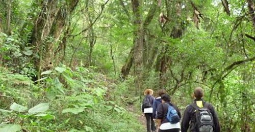 Vecinos de Horco Molle (propiedad de la UNT) cortaron el acceso a ...