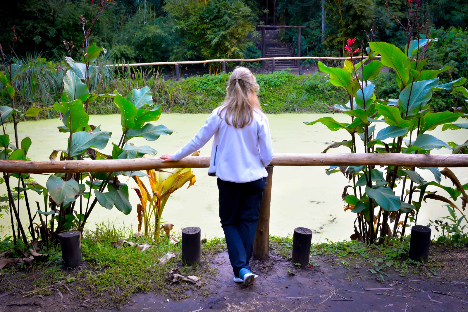La Reserva Experimental de Horco Molle, un parque natural para visitar ...